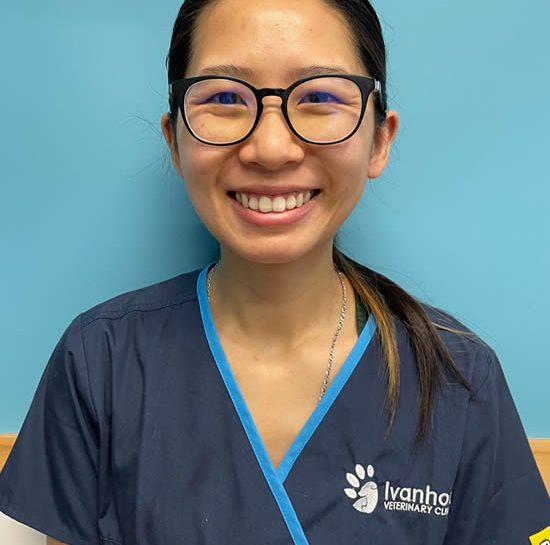 Team - Ivanhoe Veterinary Clinic