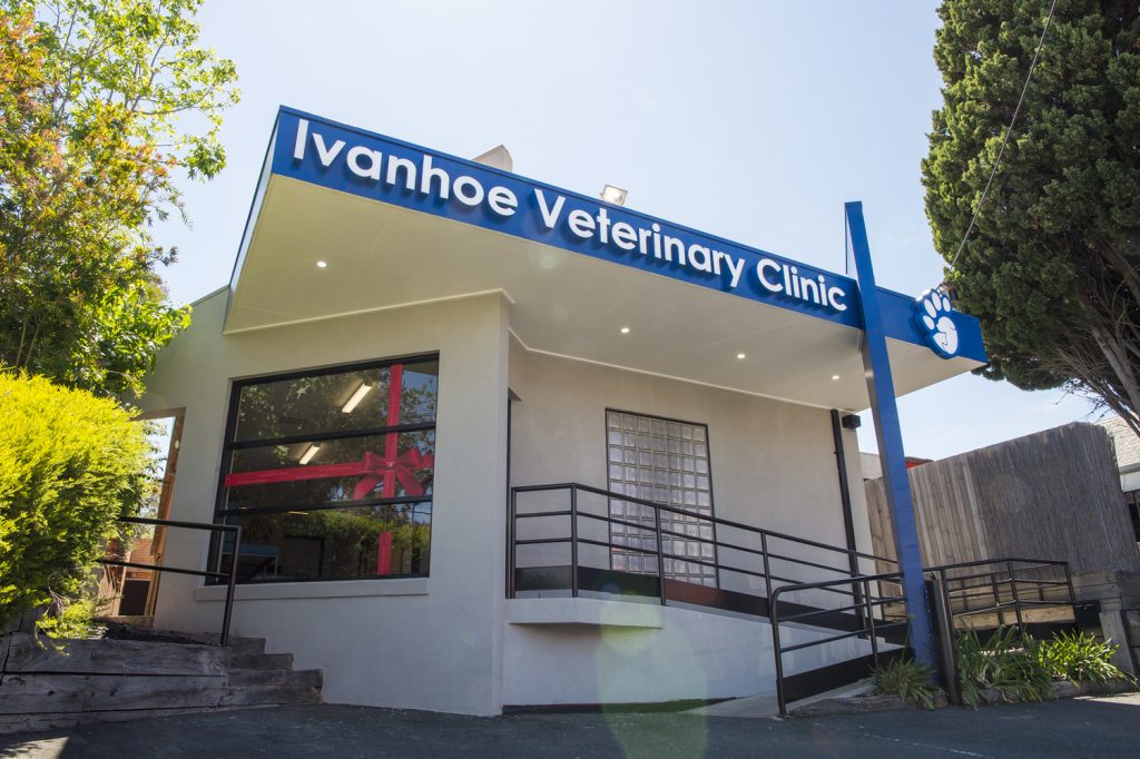 Our Clinic - Ivanhoe Veterinary Clinic