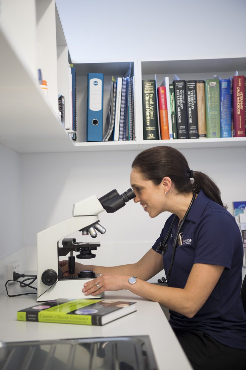 Our Clinic - Ivanhoe Veterinary Clinic
