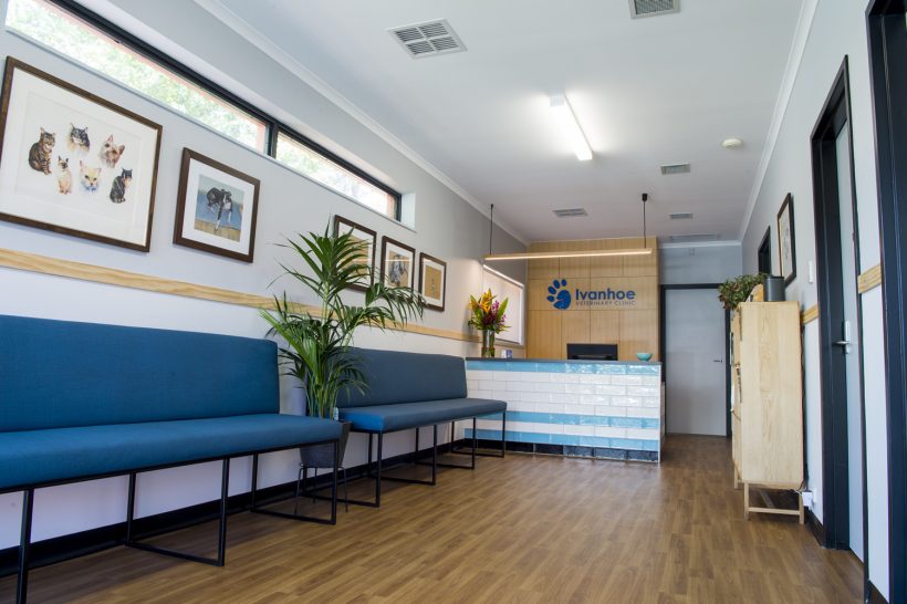 Our Clinic - Ivanhoe Veterinary Clinic