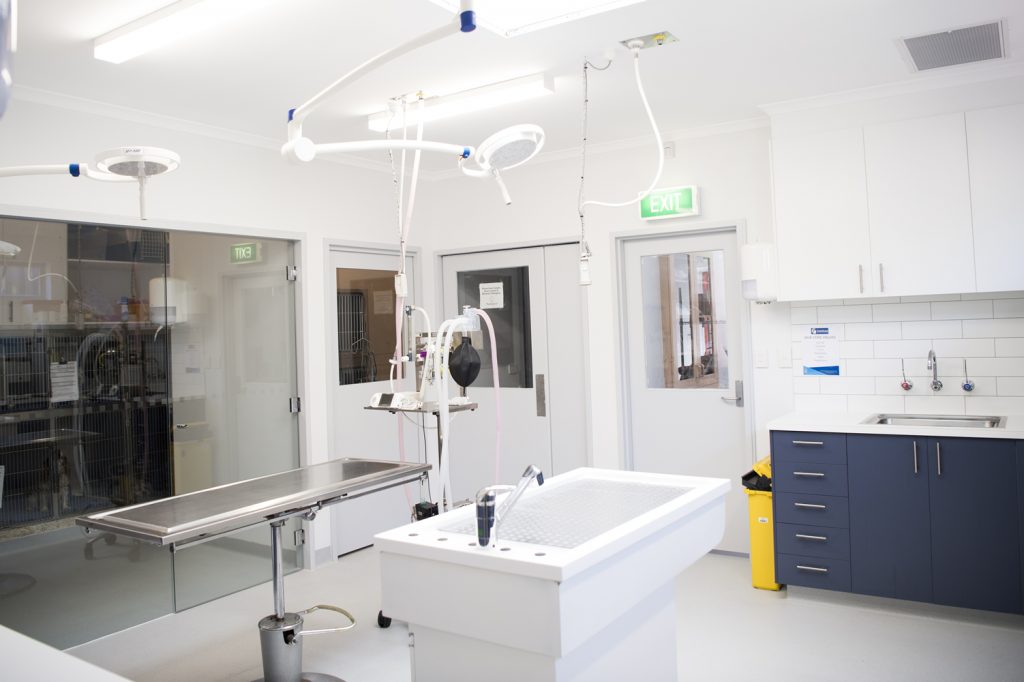 Our Clinic - Ivanhoe Veterinary Clinic